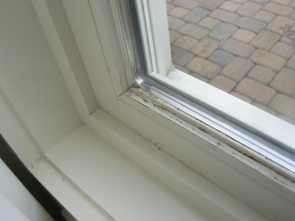 Mold on interior of window casing - DoItYourself.com Community Forums
