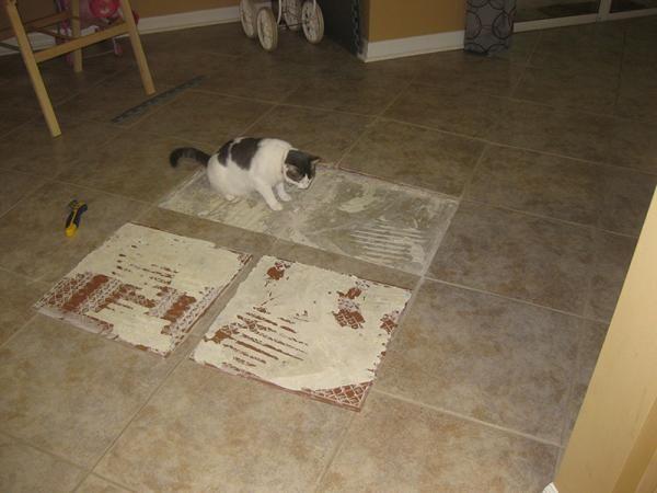 Ceramic tile tenting/lifting up - DoItYourself.com Community Forums