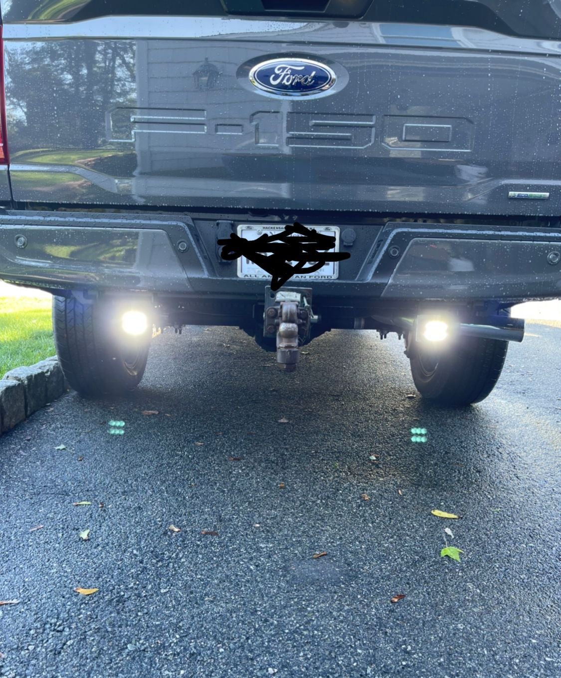 Reverse light wire - Ford F150 Forum - Community of Ford Truck Fans