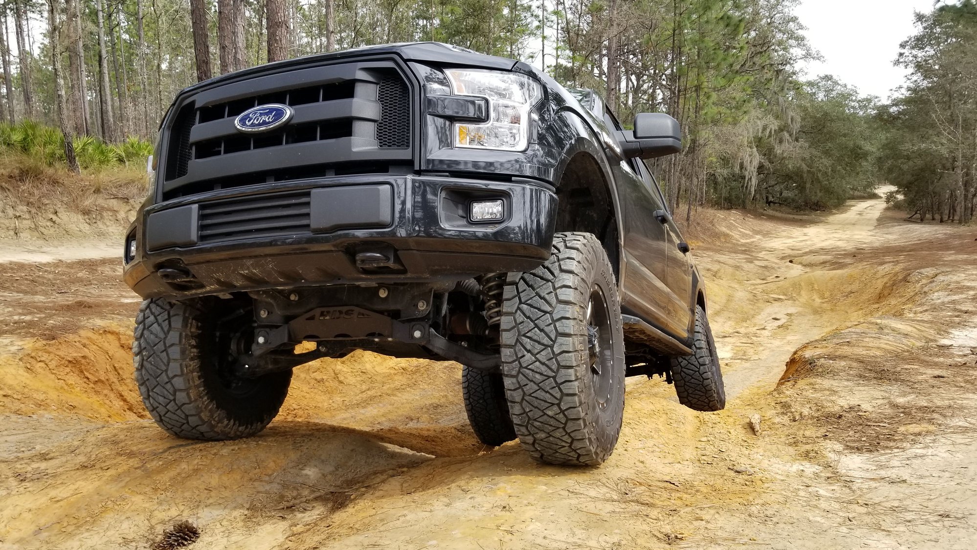 2015 F-150 for Florida Forest Trails, BDS 6" Lift, Nitto Ridge ...