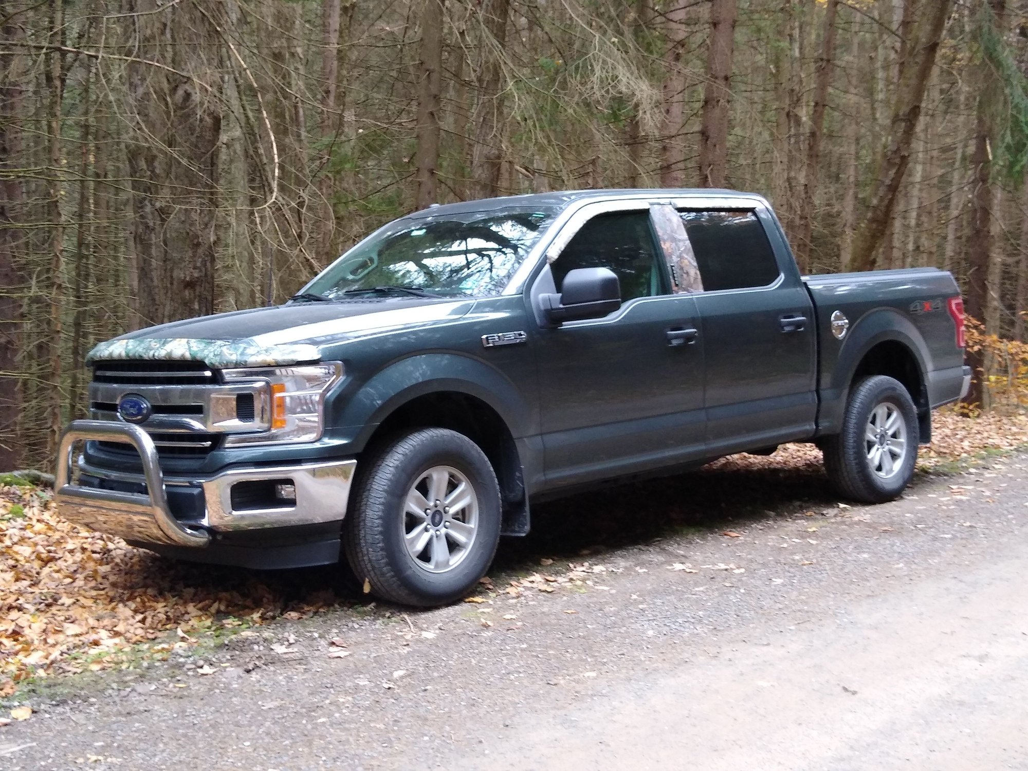 What to do with a Guard Metallic truck? - Ford F150 Forum - Community ...