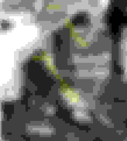 2016 3.5L EB No Crank P0706 P0707 P1702 P1921 - Ford F150 Forum ...