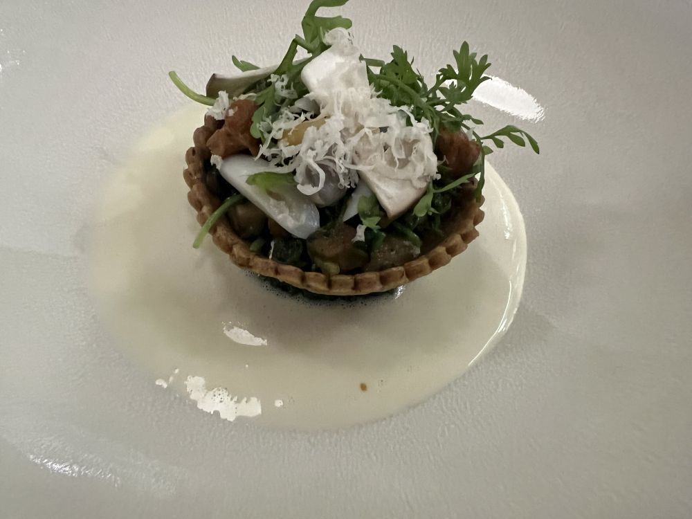 Endless jet set and glamour - or just a few fill-ins? - Page 3 ...