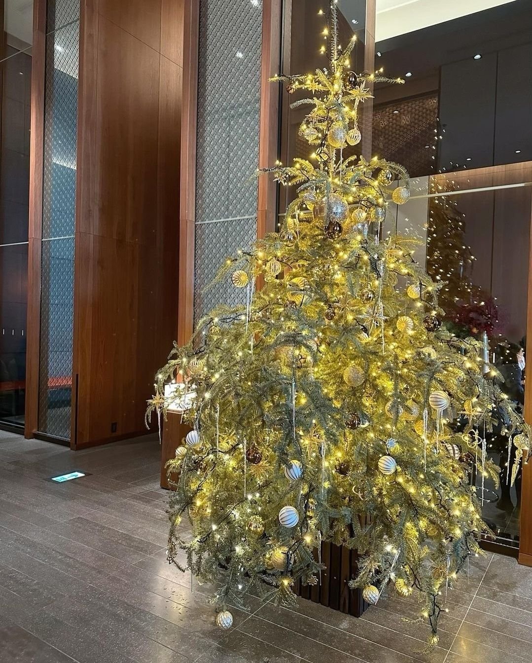 Post your Hyatt Christmas tree - Page 3 - FlyerTalk Forums