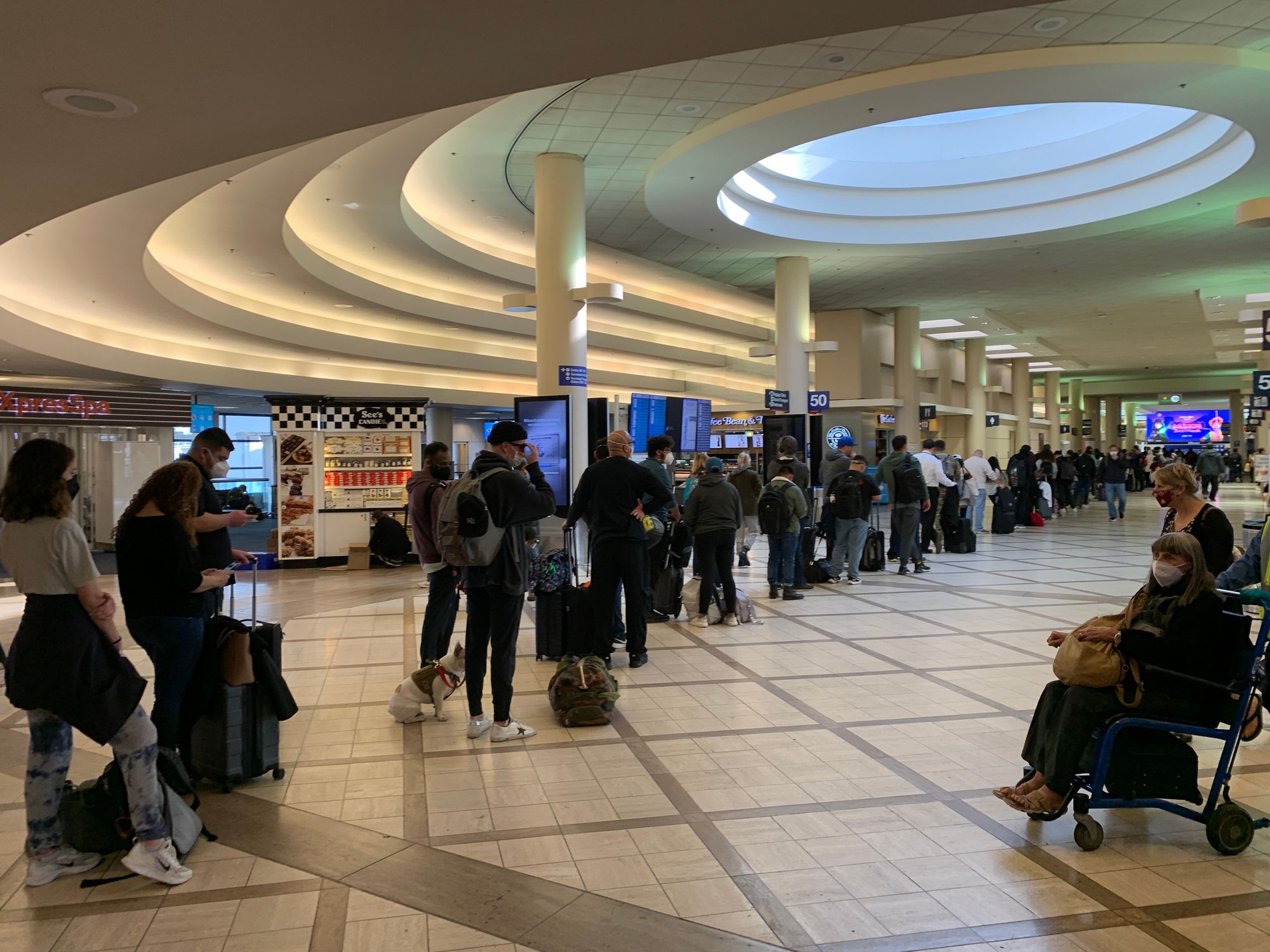 Long line for the regional terminal at LAX - FlyerTalk Forums