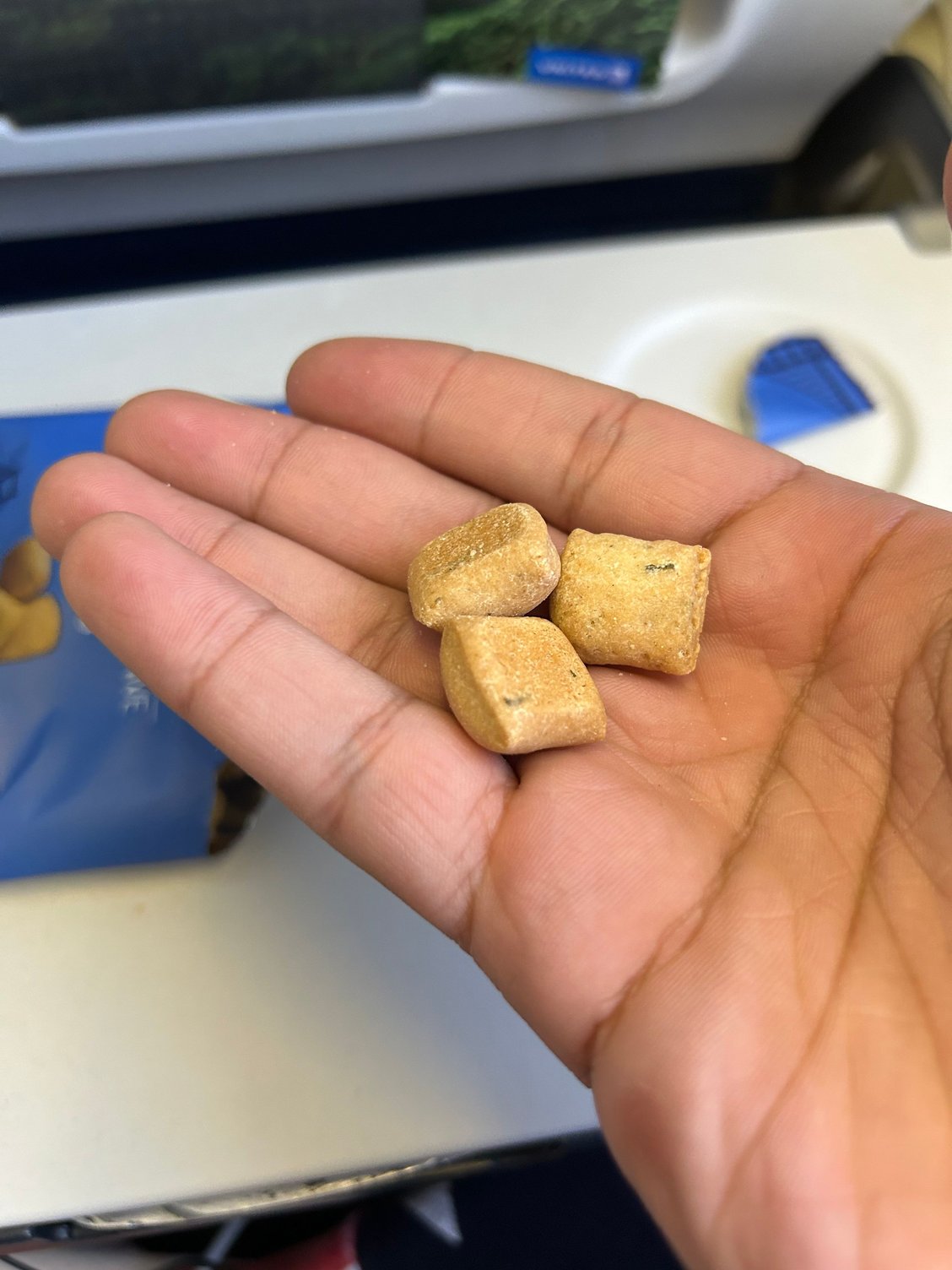 2023 Let's Eat - Economy Class (Worldwide) & Premium Plus (Domestic ...