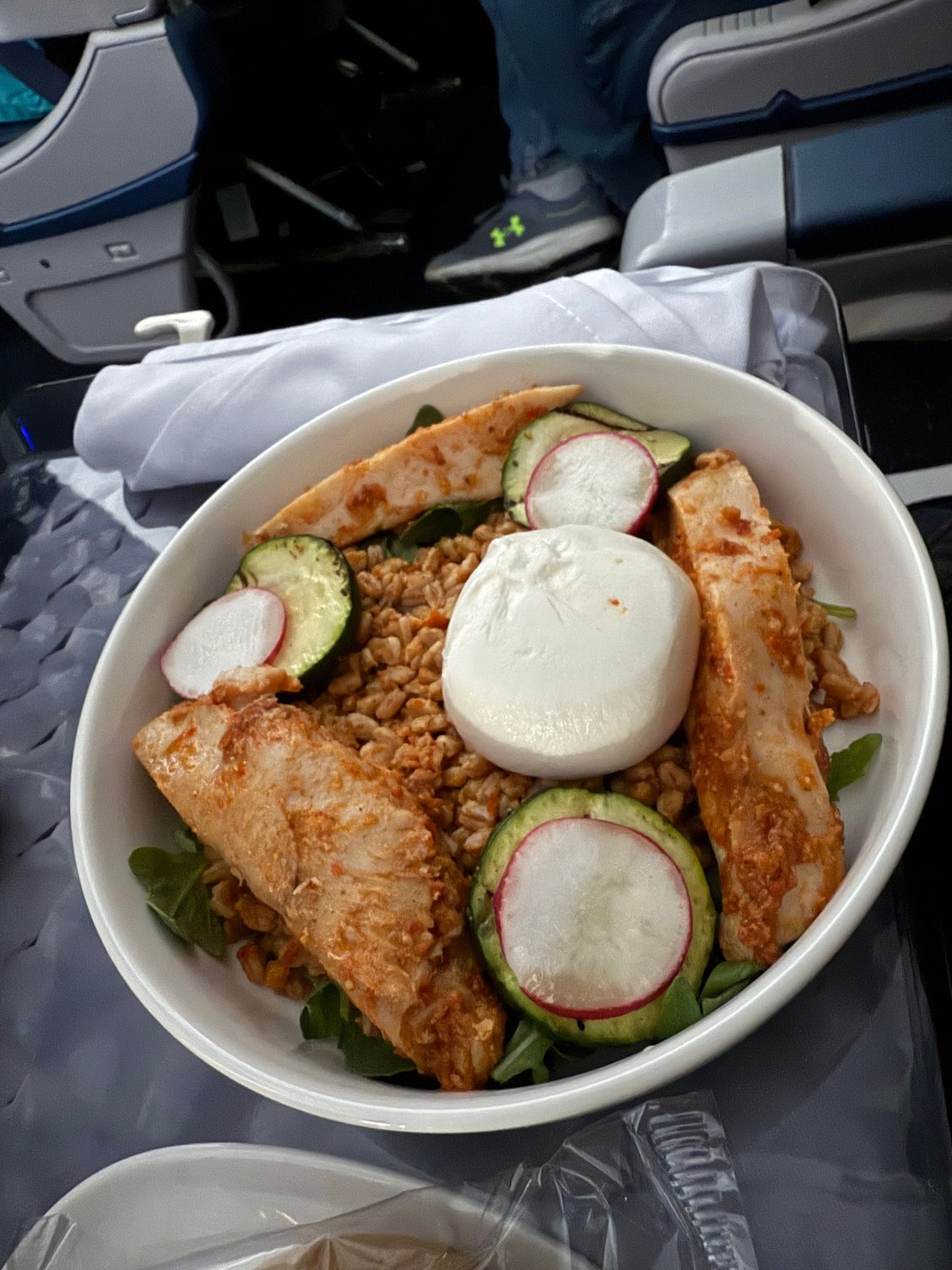 Delta In-Flight Meal/Food Service: The Definitive Thread — 2024 Edition ...