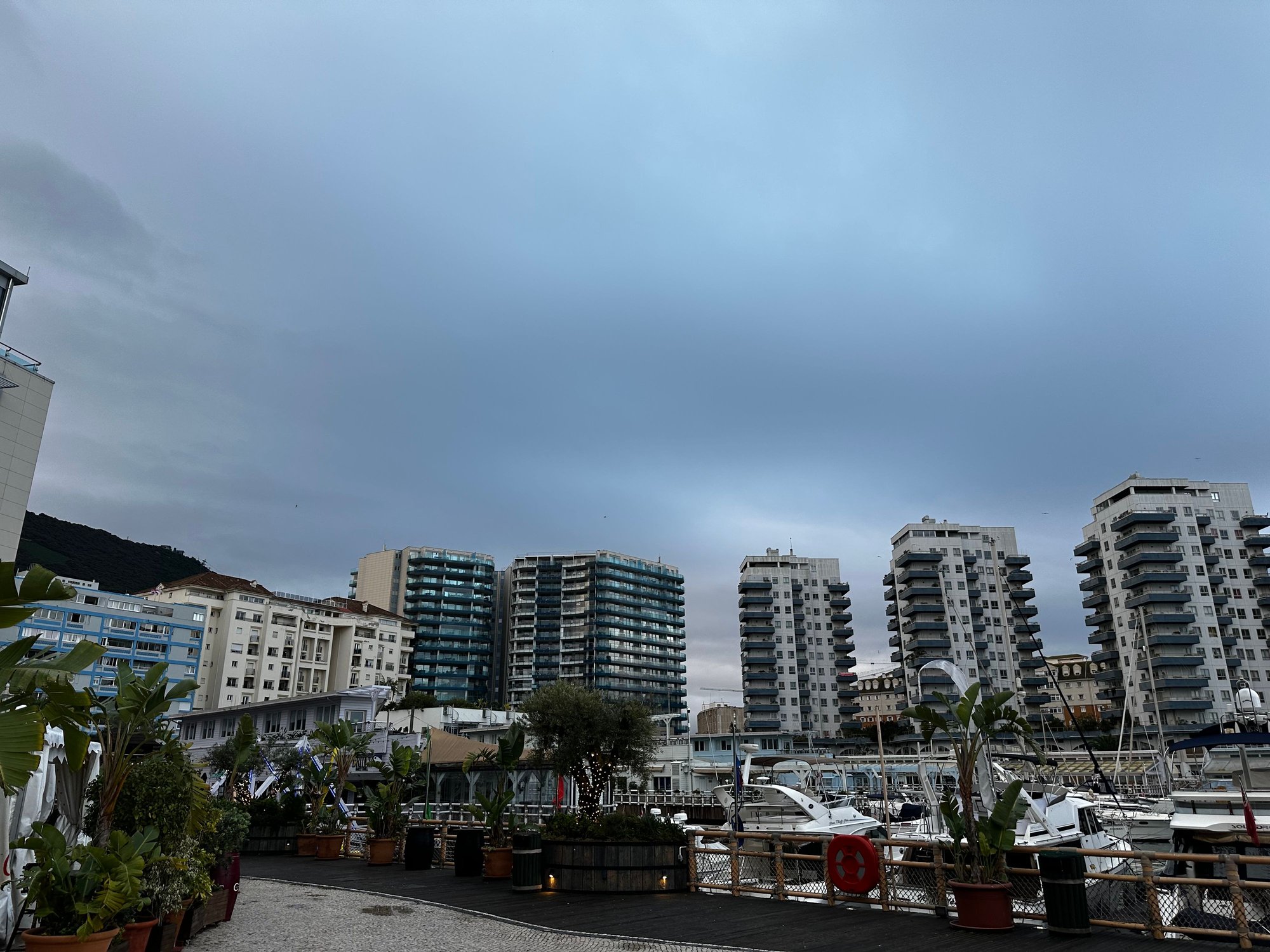 Monkeying around in Gibraltar - Page 4 - FlyerTalk Forums