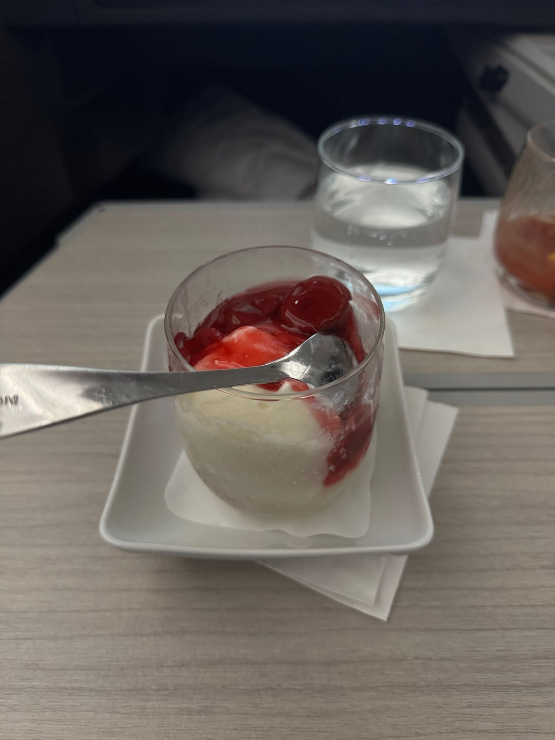 2025 AA Domestic Meal / Meals - menu / photos / etc. (master thread ...