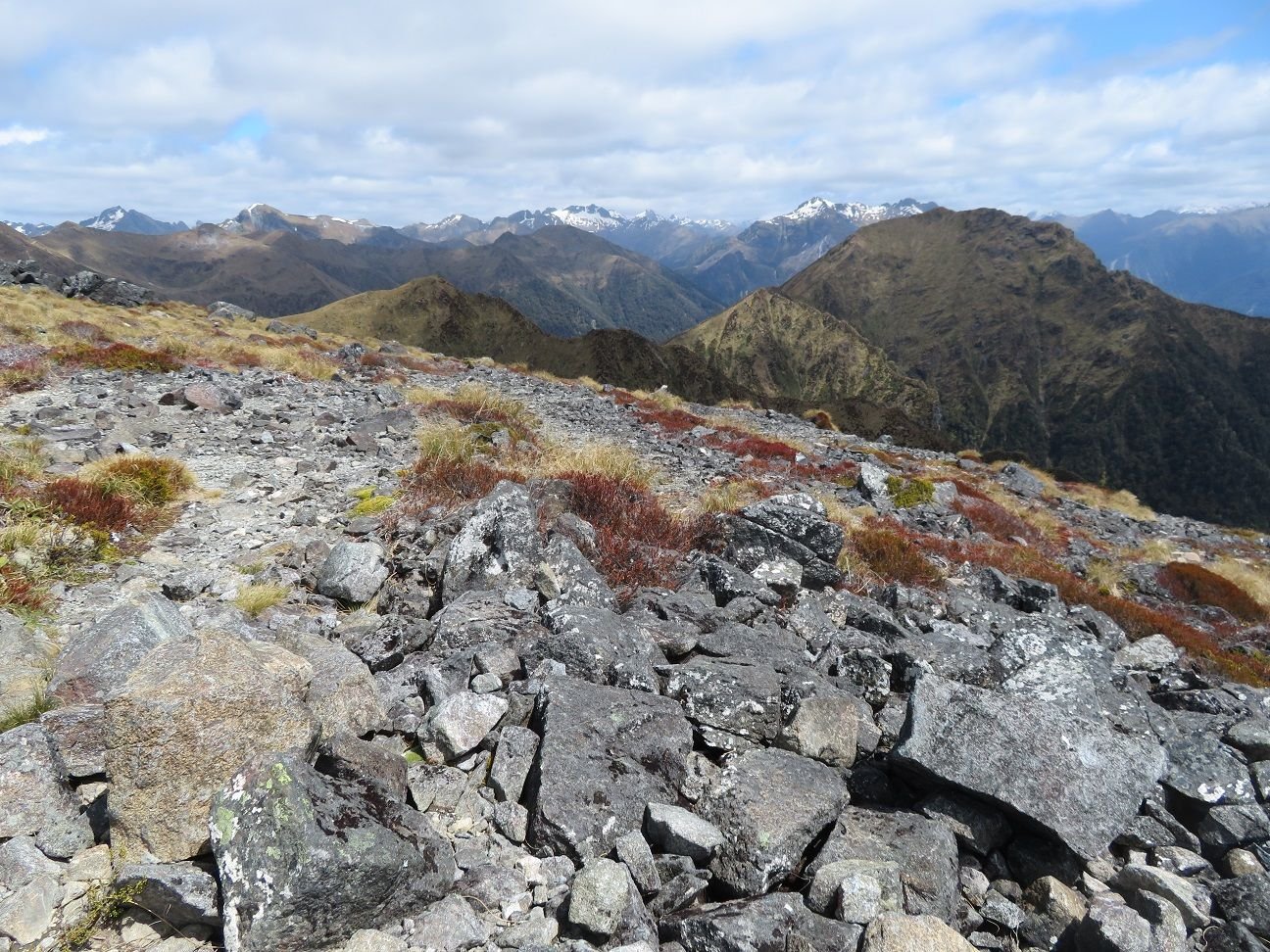 Trip Report To That Special Place: A Holiday in New Zealand, Sydney ...