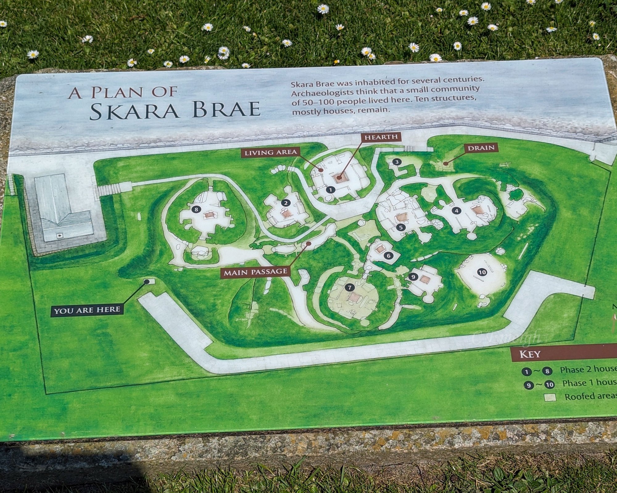 Trip Report Our May 2024 Scotland trip - Orkney, Mull, Kilmartin ...