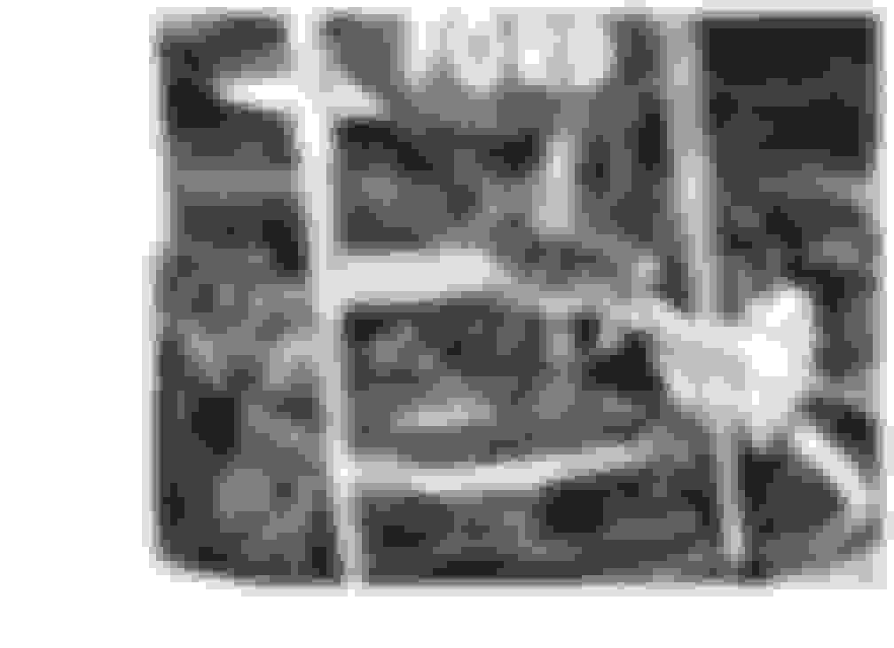 vintage pics of days gone by - Page 576 - Ford Truck Enthusiasts Forums