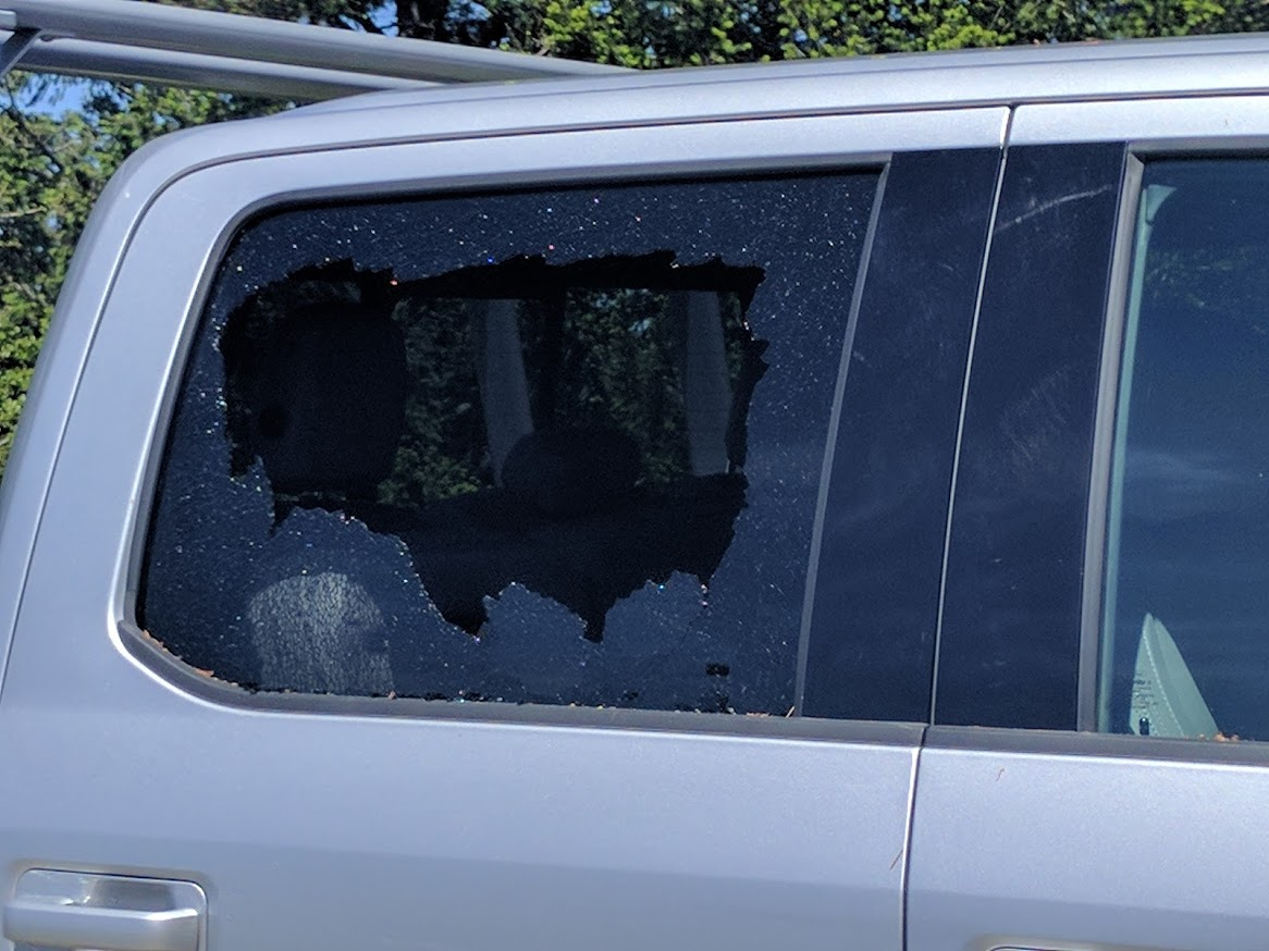 2016 f150 driver window replacement - Ford Truck Enthusiasts Forums