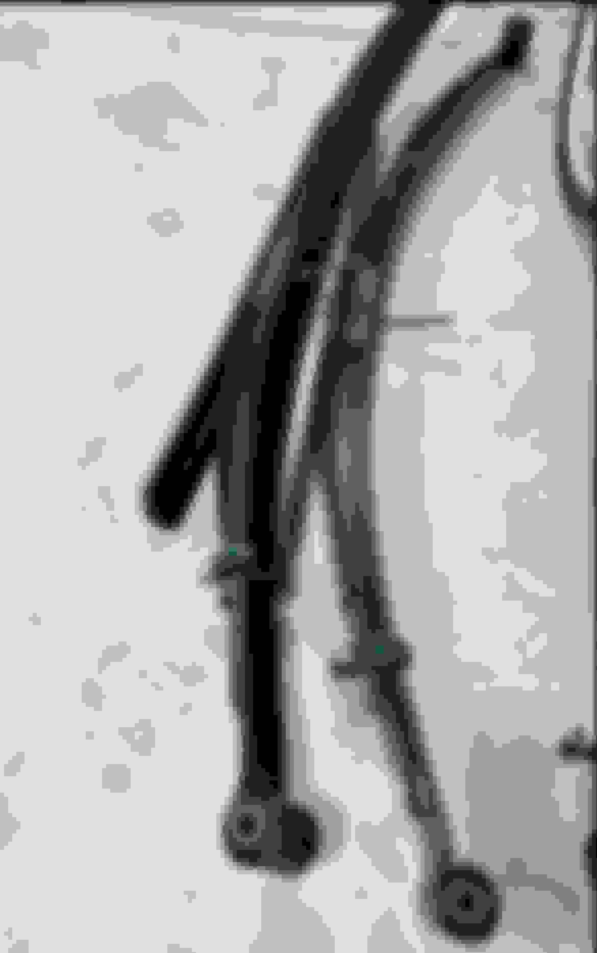 Rear spring swap - Page 2 - Ford Truck Enthusiasts Forums