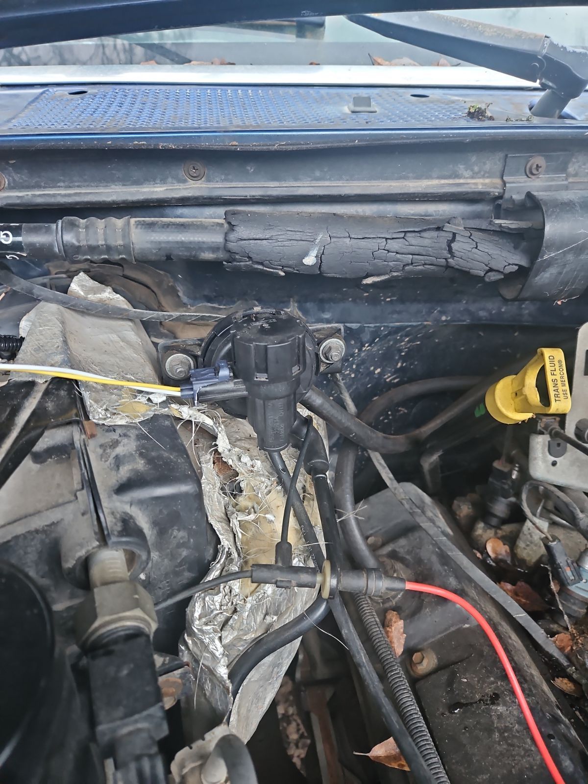 EVAP Code P0443 on a ONE YEAR ONLY MODEL 1996 F350 Truck - Ford Truck ...