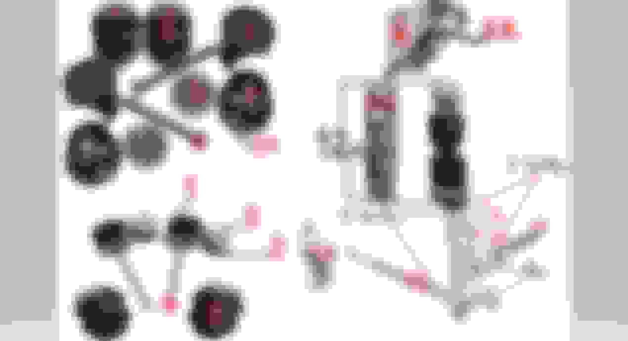 Bolt-On Air Bag Kit, 65-79, # ASFRNTAIRONL-1002A - Ford Truck ...