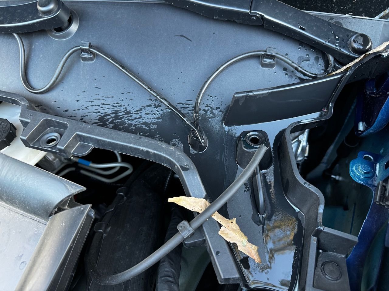 EV's (Tesla) still cutting their teeth in reliability? - Ford Truck ...