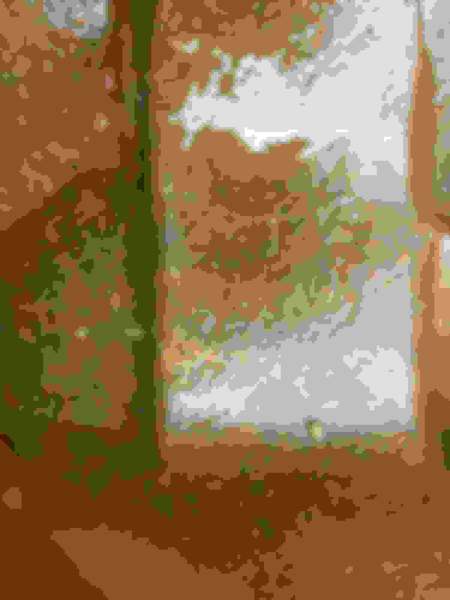 Rear end identification - Ford Truck Enthusiasts Forums