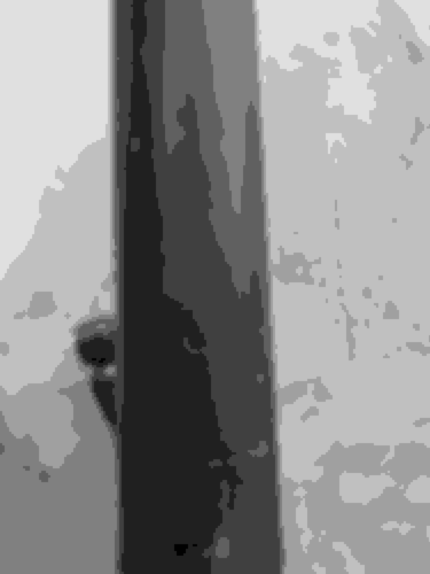 Field Service Action - Customer Satisfaction Program - 20N04 - Steering ...