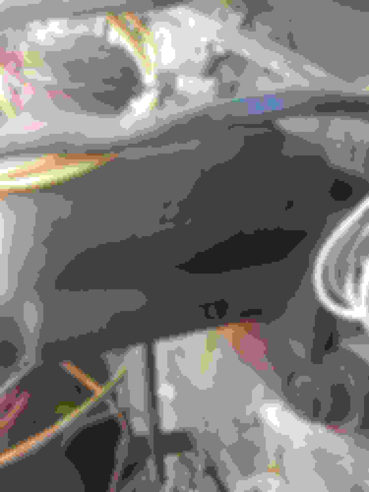 VIN decode help, please - Ford Truck Enthusiasts Forums