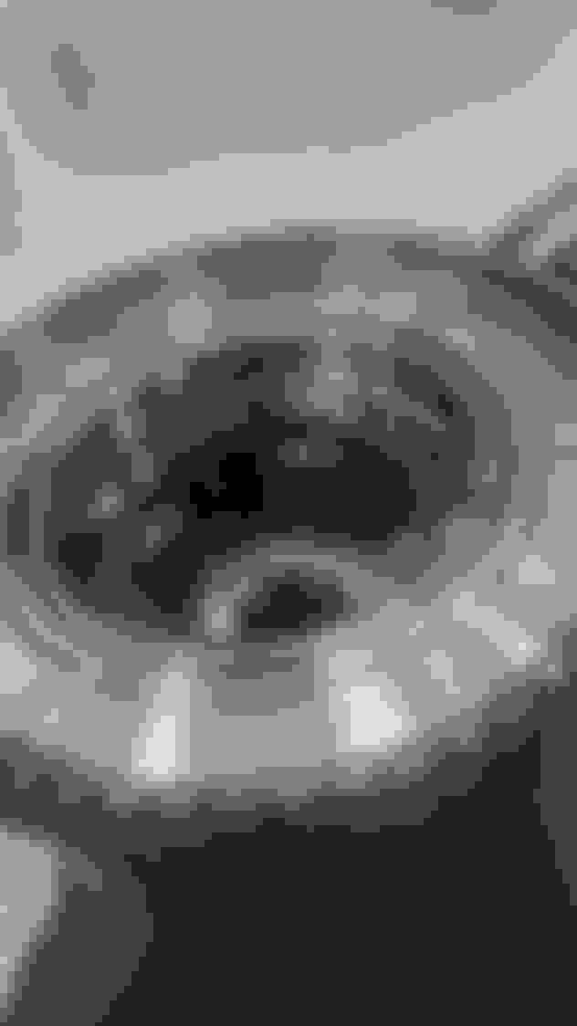 4R100 Full build-up and tech - Ford Truck Enthusiasts Forums