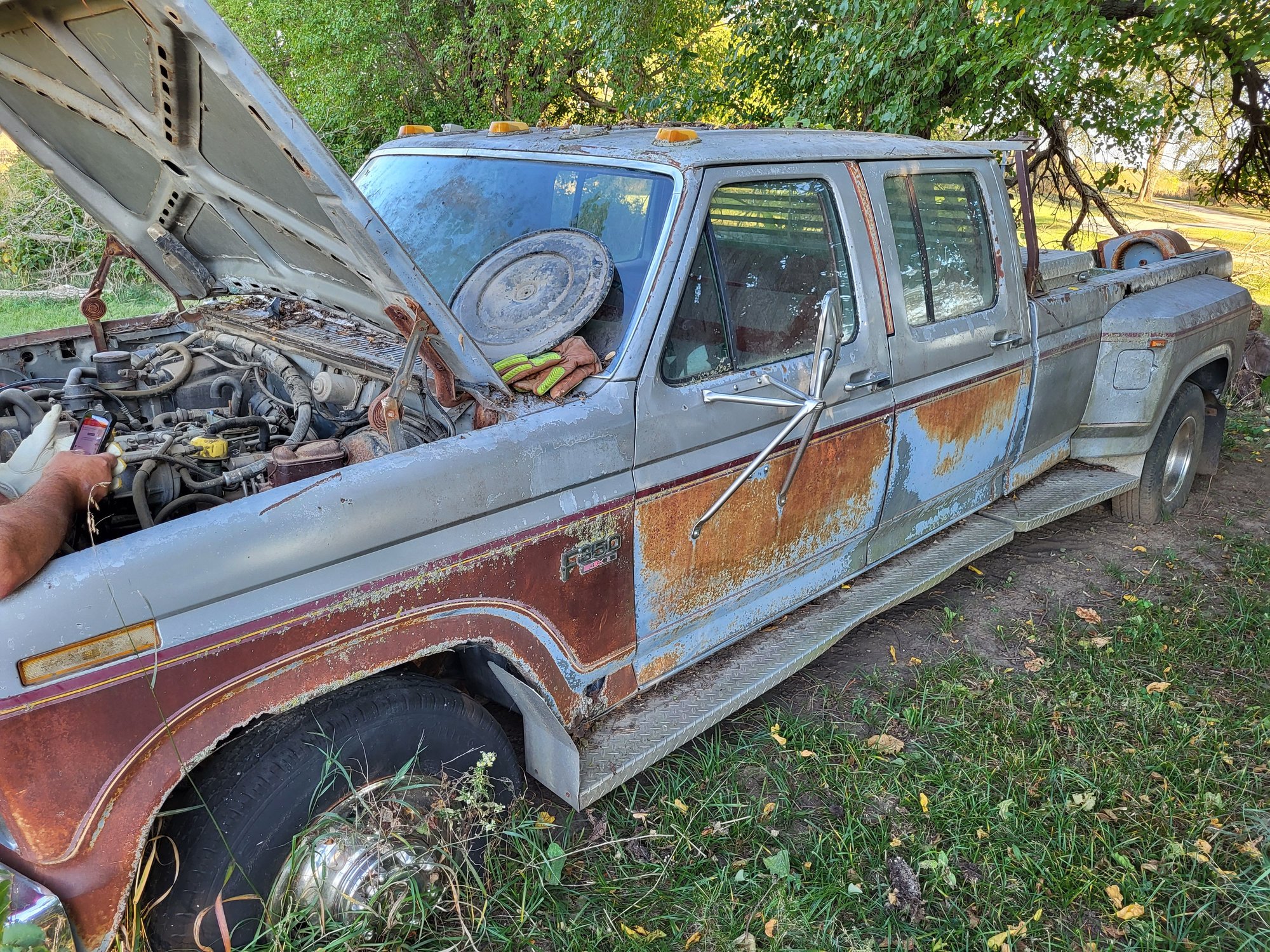 New to me '86 F350 CC Dually - Ford Truck Enthusiasts Forums