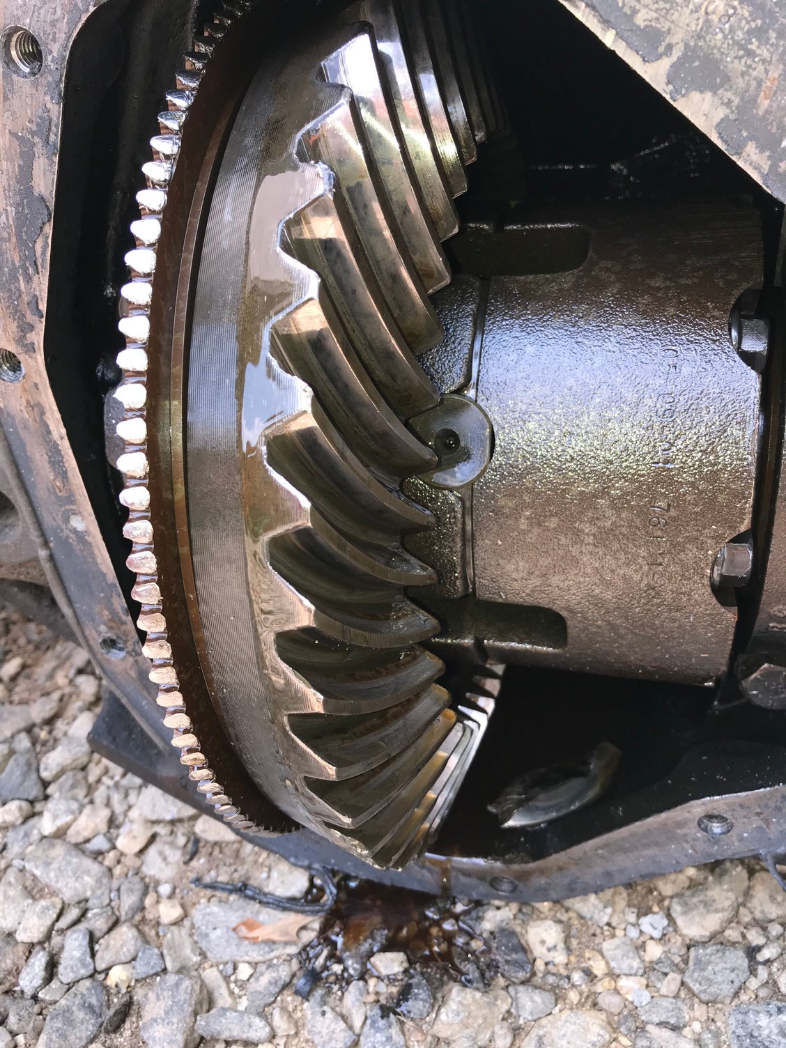 Rear differential exploded. Montgomery, AL (made it home safely) - Page ...