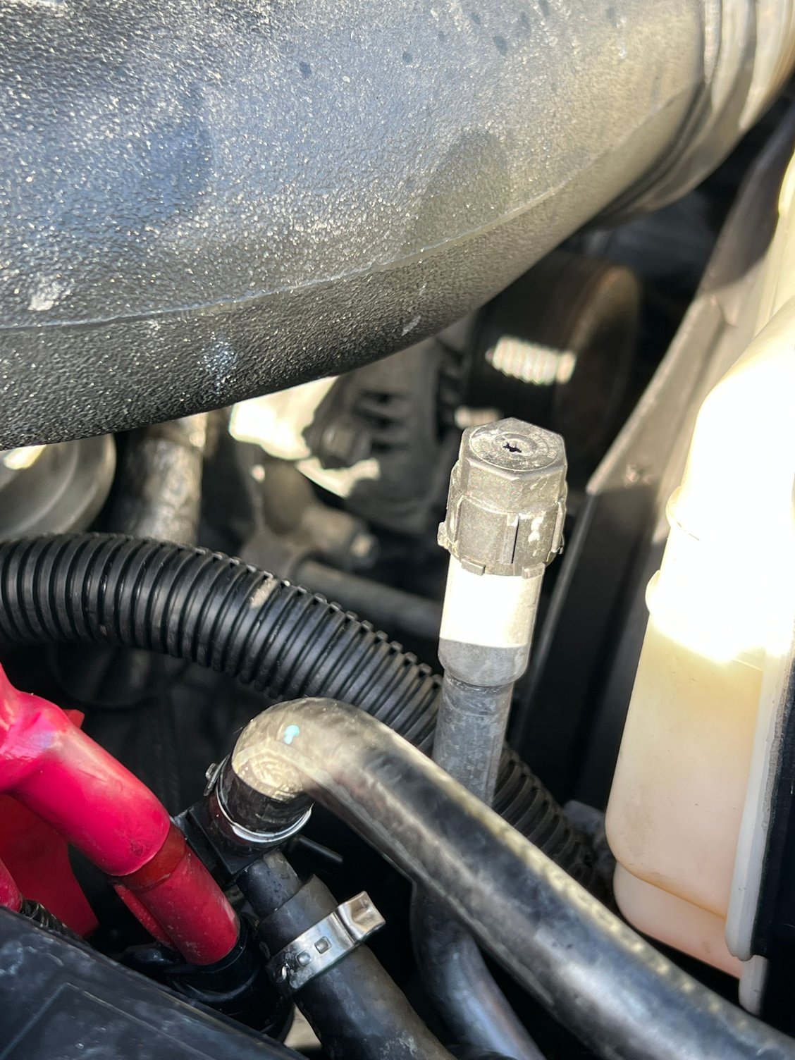 FASS EGR filter up coming install - Ford Truck Enthusiasts Forums