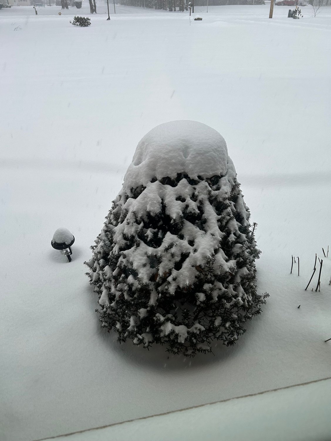 Well, is it snowing at your place? - Ford Truck Enthusiasts Forums