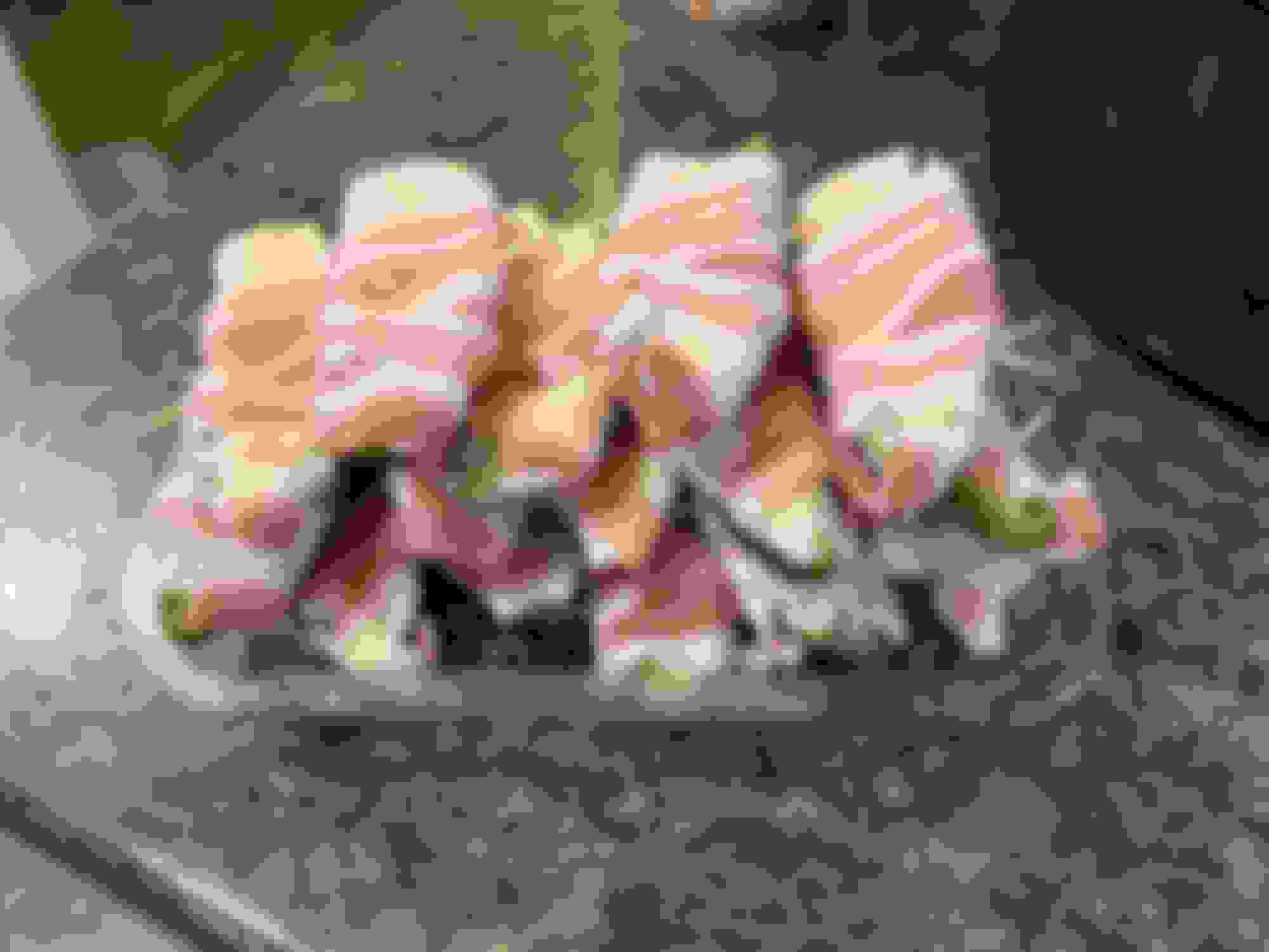 The Official SIP Food Thread aka Glutton Gulch ~~~ - Page 318 - Ford ...