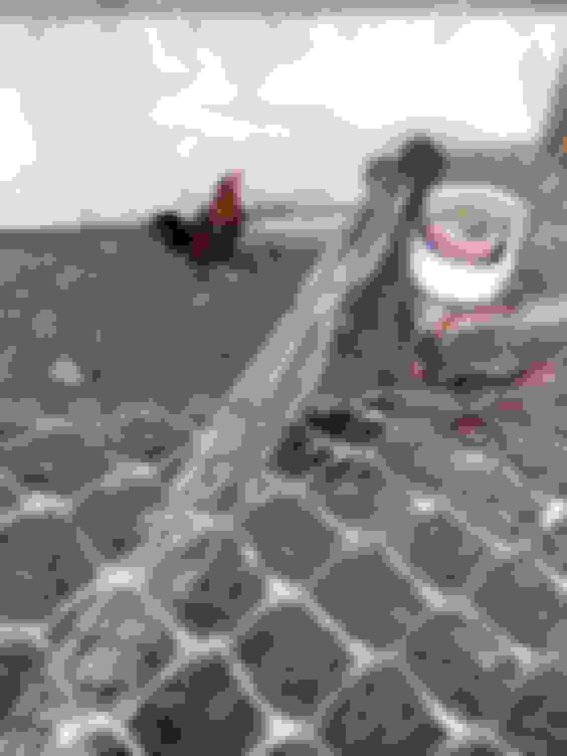 The "Mule" Build - Page 67 - Ford Truck Enthusiasts Forums