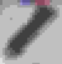 Timing pointer bolt size - Ford Truck Enthusiasts Forums