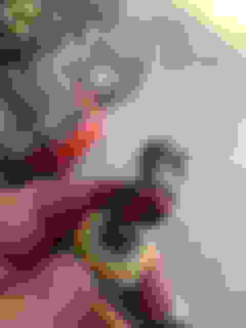 P0402 EGR Excessive Flow Code - bad hesitation - Ford Truck Enthusiasts ...