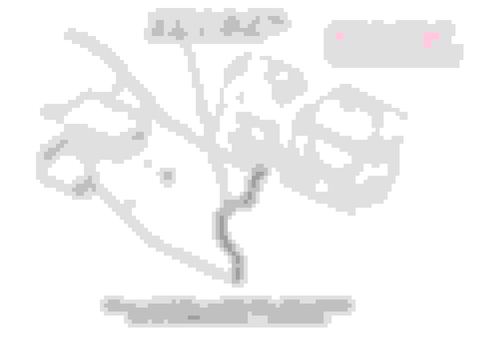 Anyone have experience with frame repair/replacement? - Ford Truck ...