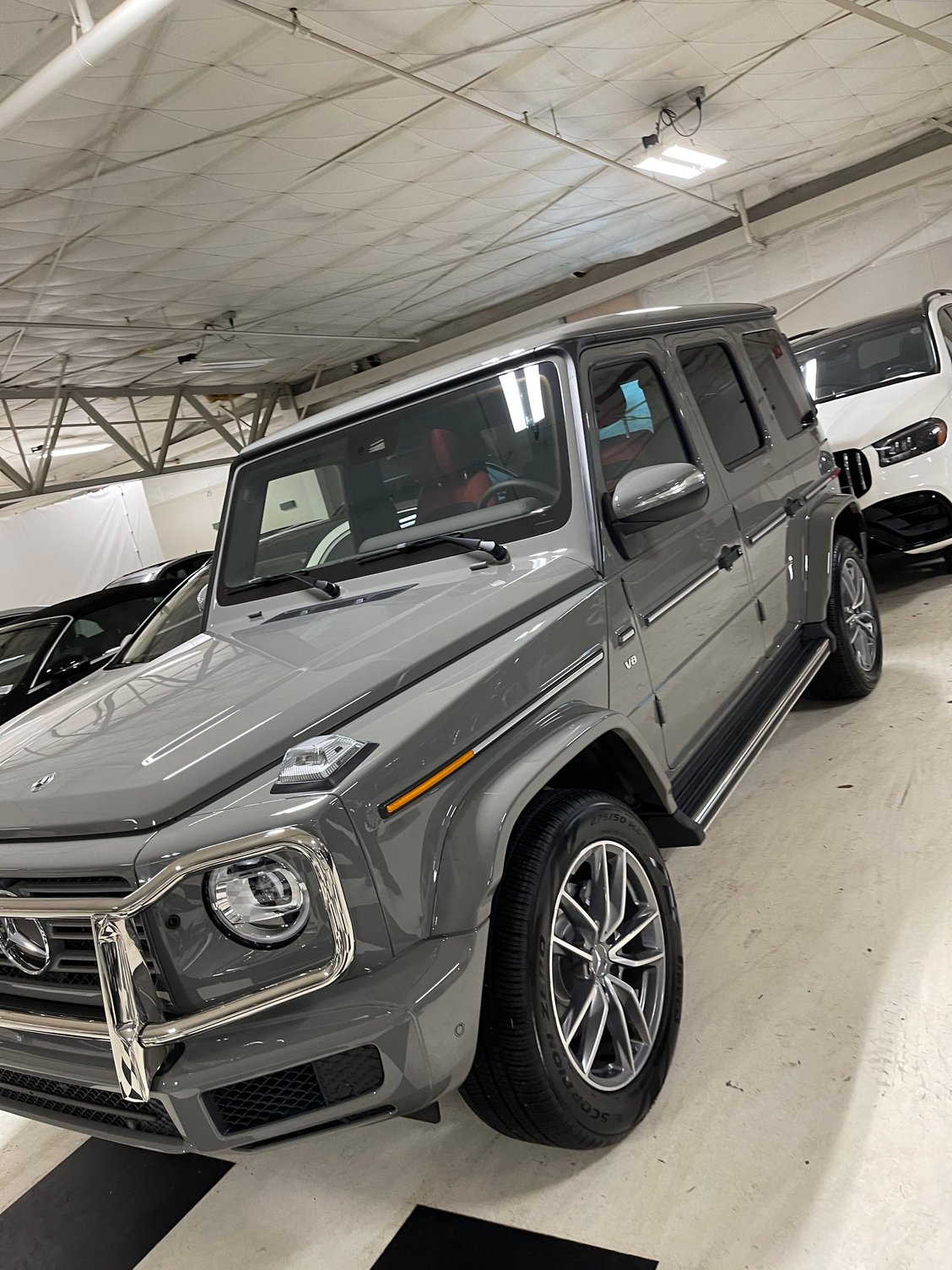 Arabian Gray - MBWorld.org Forums