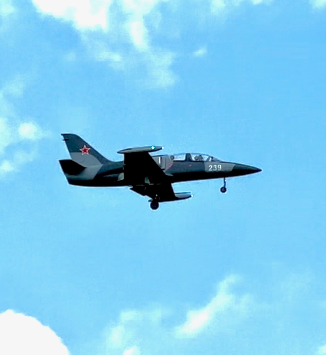 For Sale - BVM L39 Jet - RCU Forums