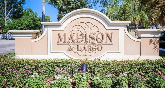 Madison at Largo - 249 Reviews | Largo, FL Apartments for Rent ...